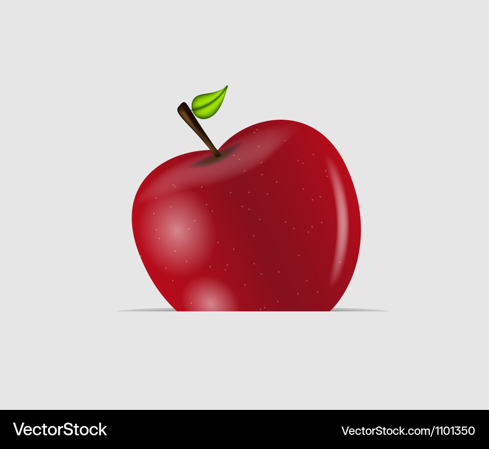 Sweet tasty apple Royalty Free Vector Image - VectorStock