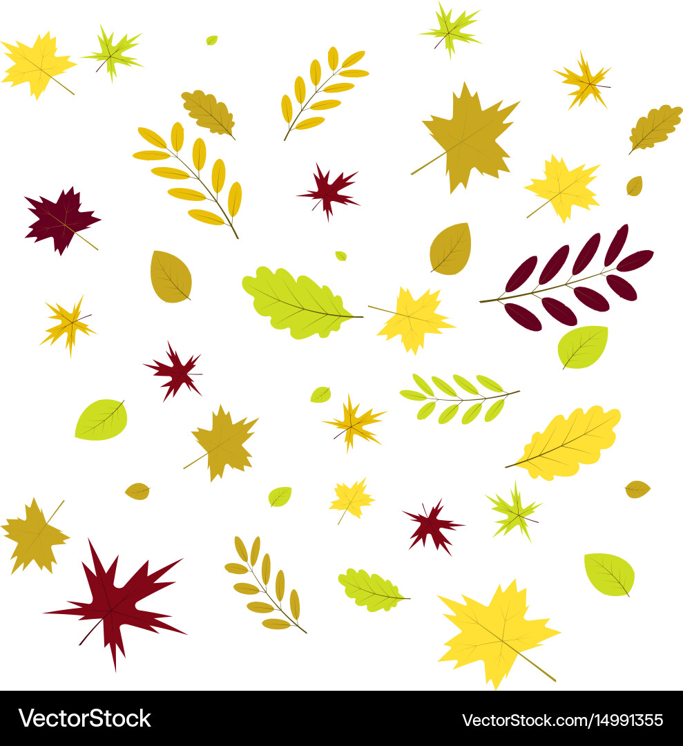 Leaf of autumn leaves Royalty Free Vector Image