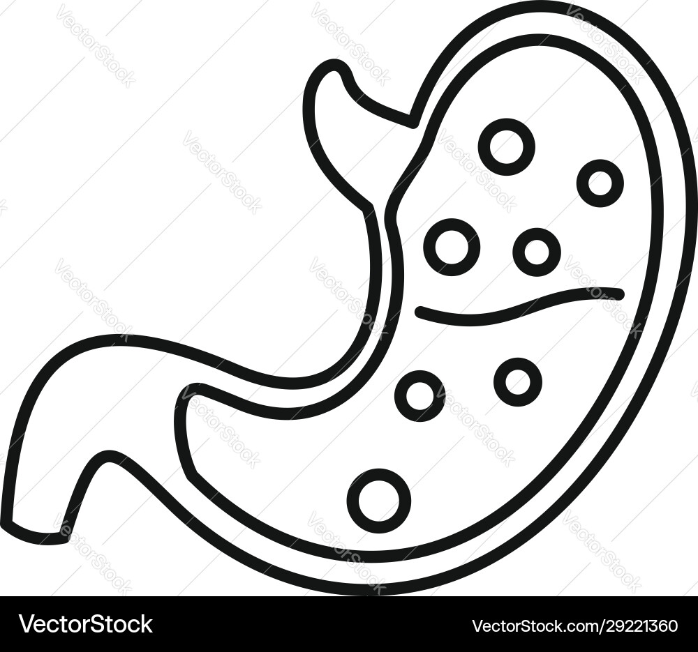 Stomach icon outline style Royalty Free Vector Image