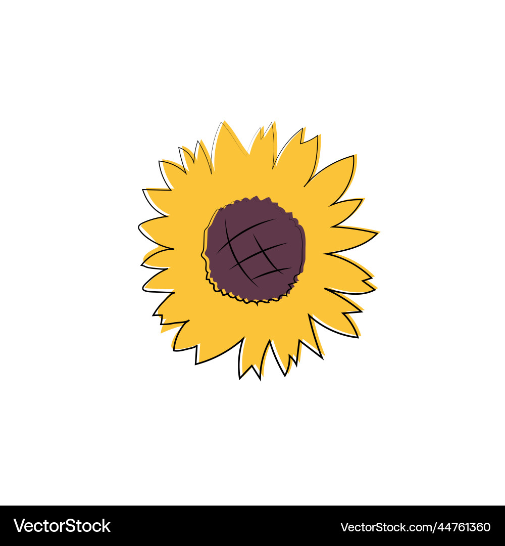 Sunflower icon isolated on white background card Vector Image