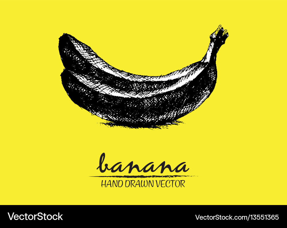 Digital detailed banana hand drawn Royalty Free Vector Image