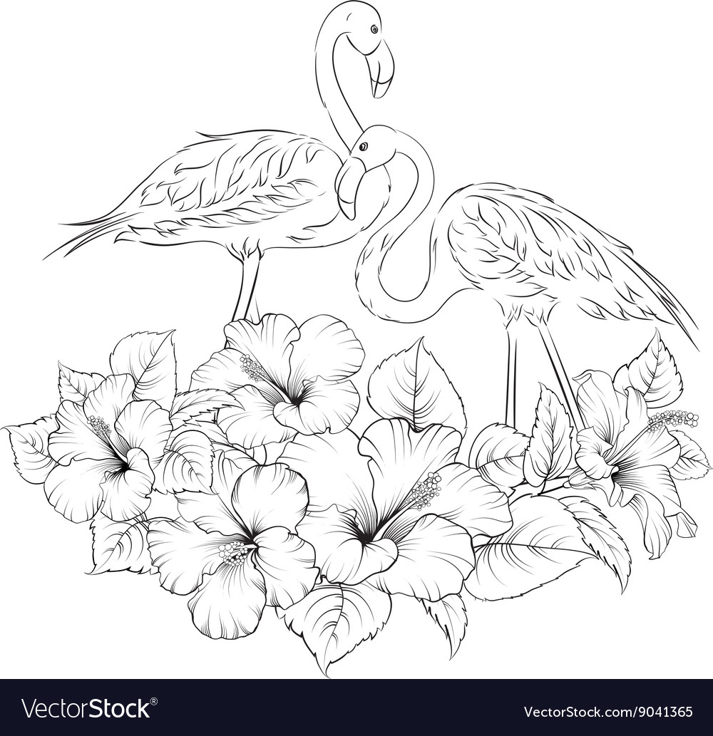 Flamingo background design Royalty Free Vector Image