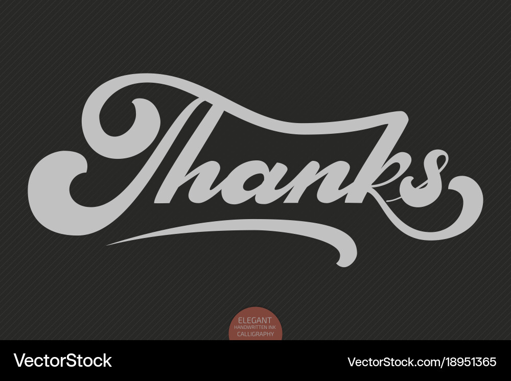 Hand drawn lettering thank elegant modern Vector Image