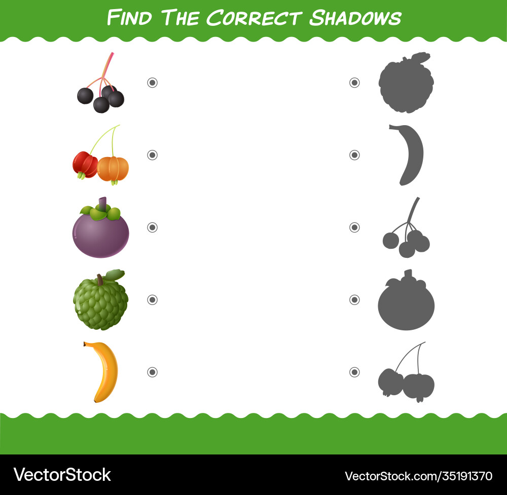 Find correct shadows cartoon fruits Royalty Free Vector