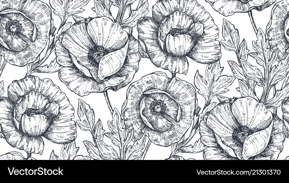 Floral seamless pattern with hand drawn poppy Vector Image