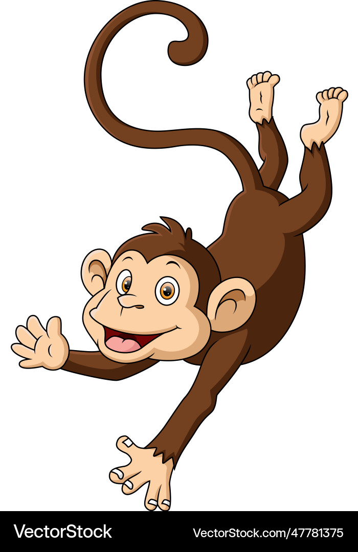 Cute little monkey cartoon on white background Vector Image
