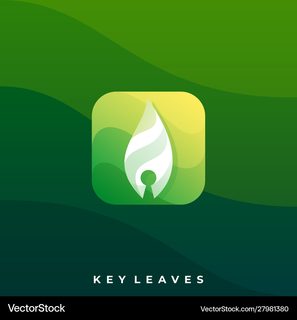 Digital media icon leaf key colorful design Vector Image