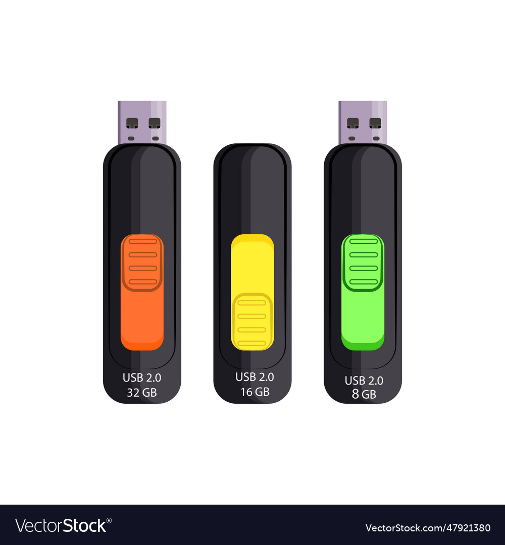 Flash memory cards Royalty Free Vector Image - VectorStock