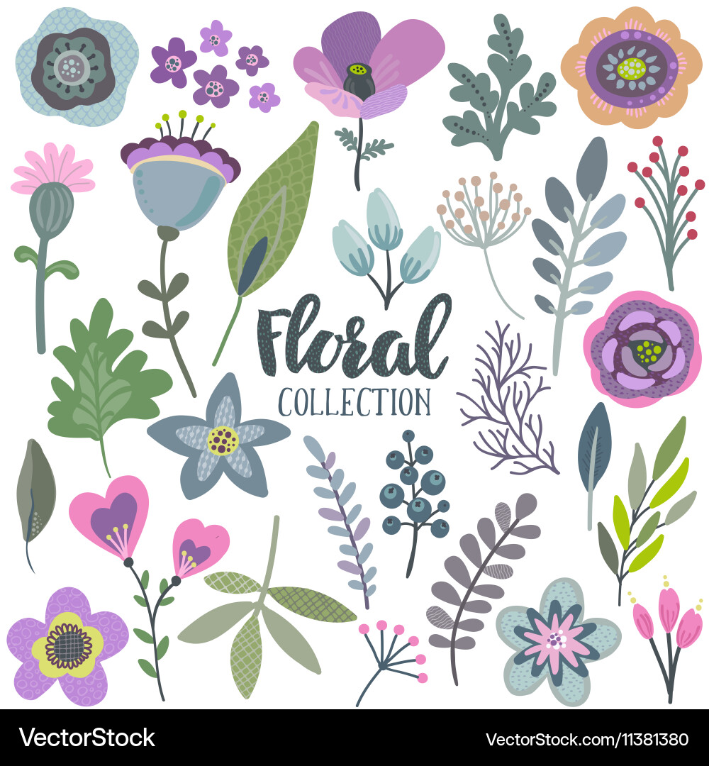 Graphic set with beautiful flowers leaves Vector Image