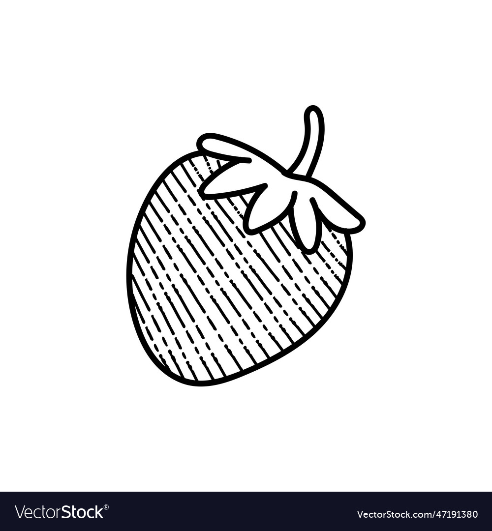 Strawberry fruit line art style creative design Vector Image