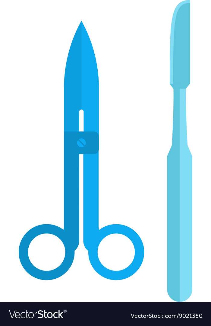 Surgeon tools Royalty Free Vector Image - VectorStock