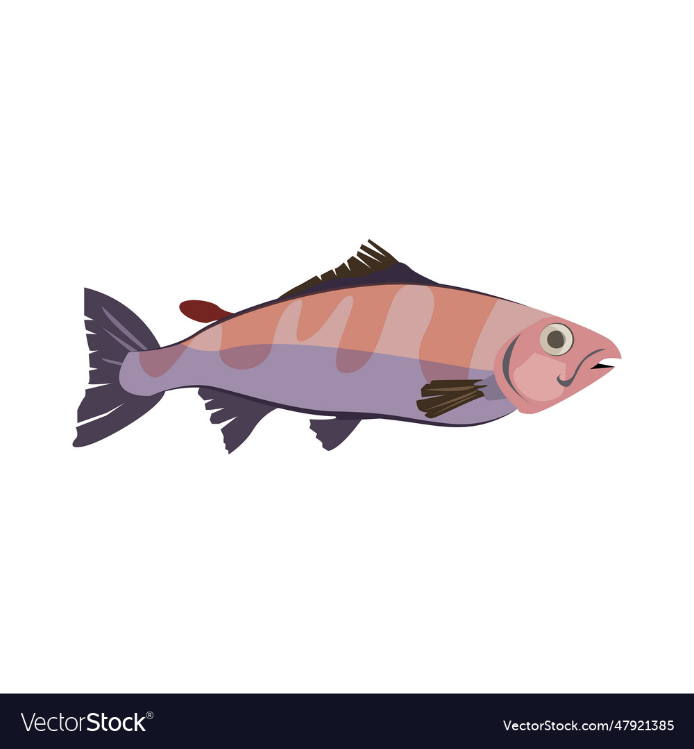 Tropical water bonefish Royalty Free Vector Image
