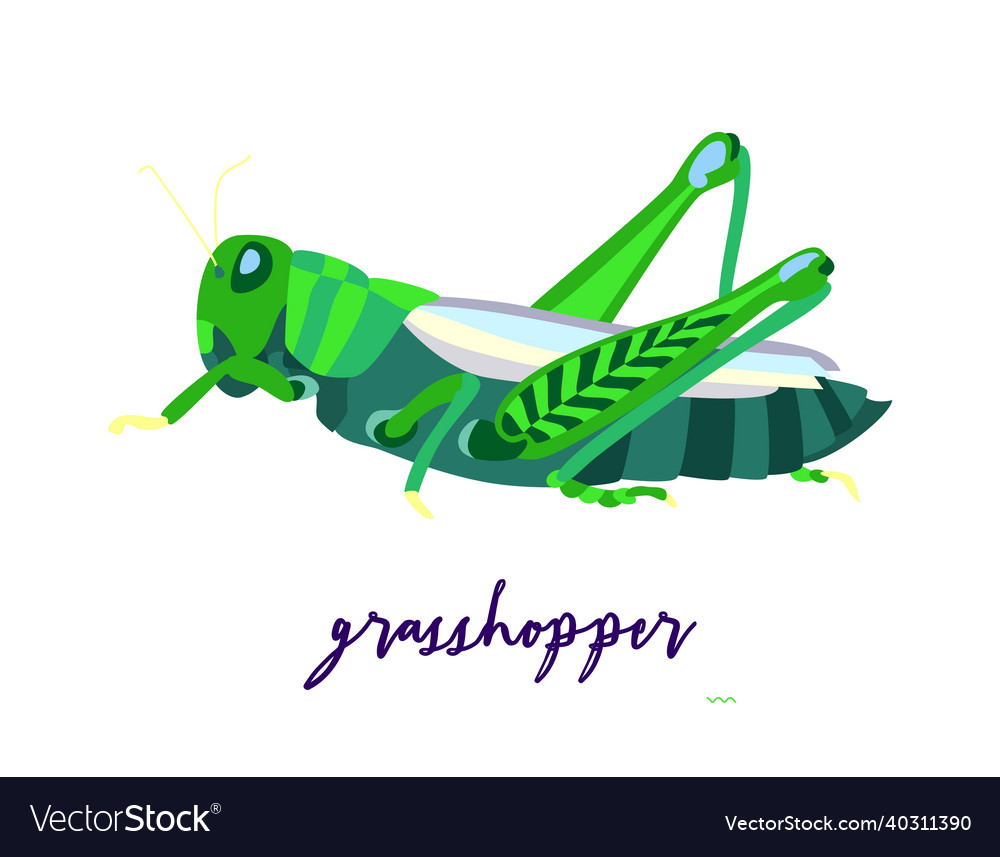 Abstract insects Royalty Free Vector Image - VectorStock