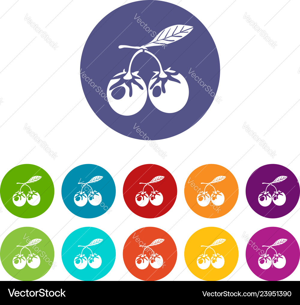 Eco berry icons set color Royalty Free Vector Image
