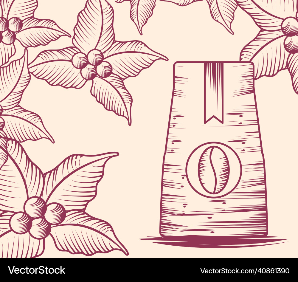 Pack of coffee and leaves Royalty Free Vector Image
