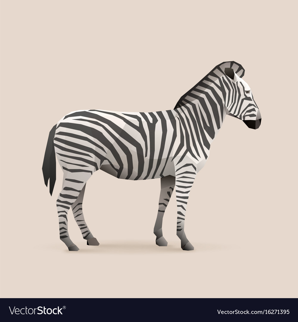 Zebra Royalty Free Vector Image - VectorStock