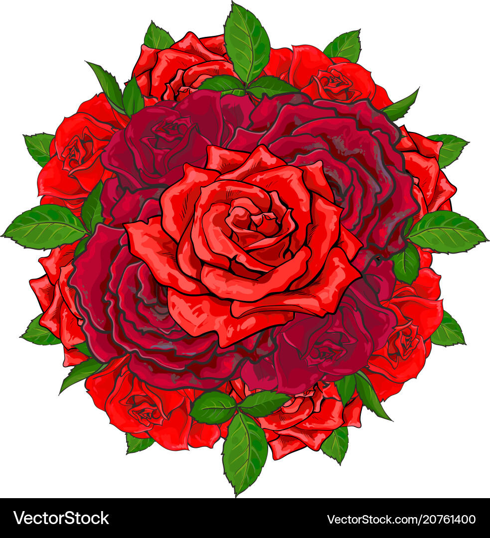 Hand drawn red rose bouquet isolated Royalty Free Vector