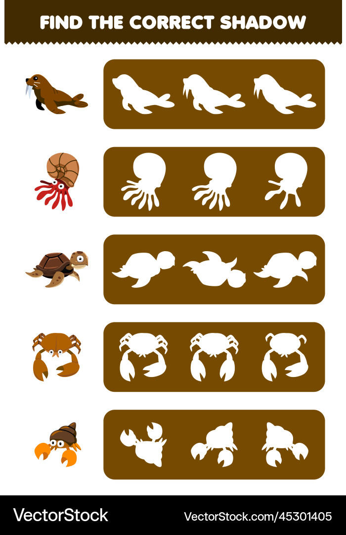 Education game for children find the correct Vector Image