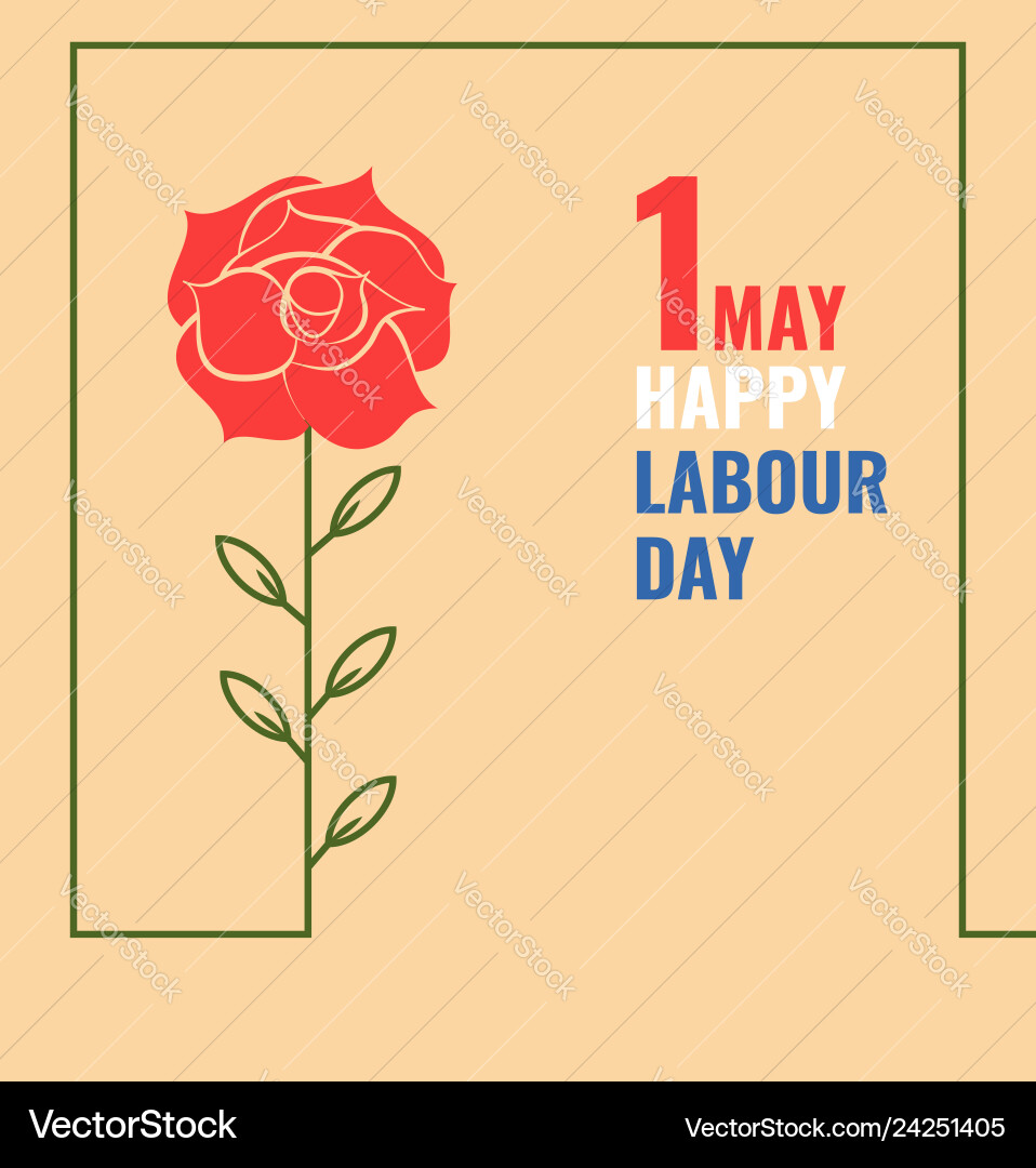 Happy labour day with rose greeting card Vector Image
