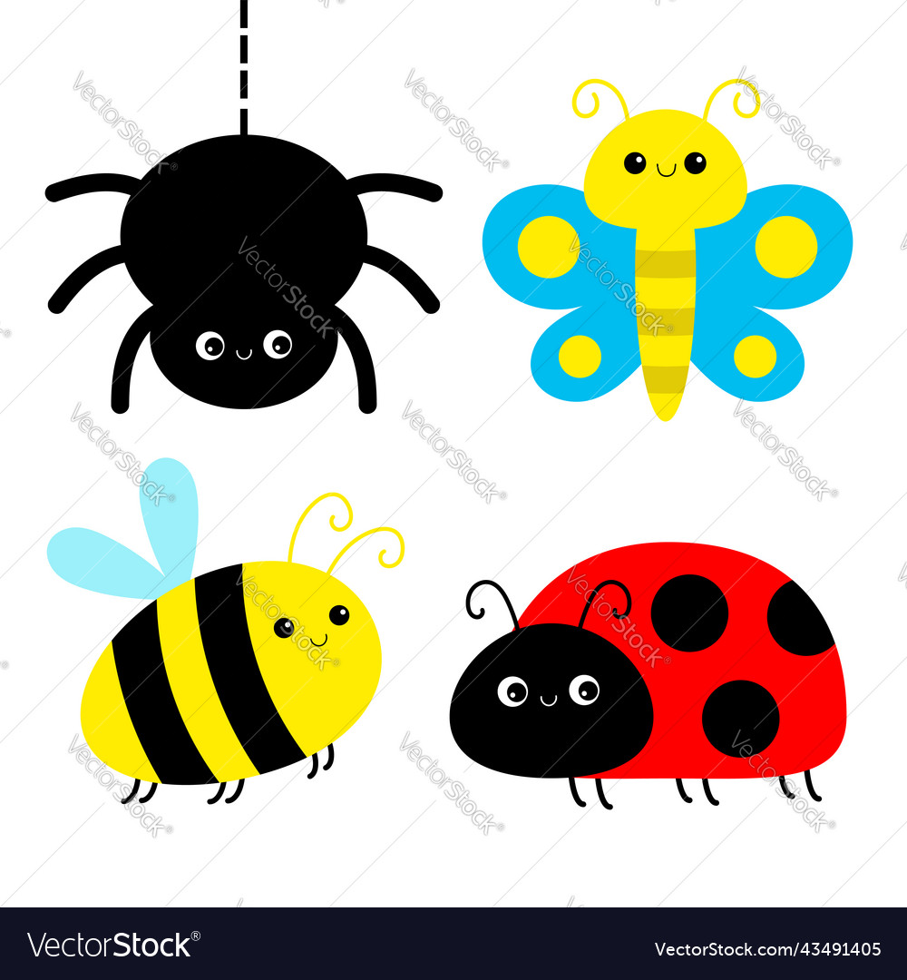 Ladybug ladybird spider bee bumblebee butterfly Vector Image