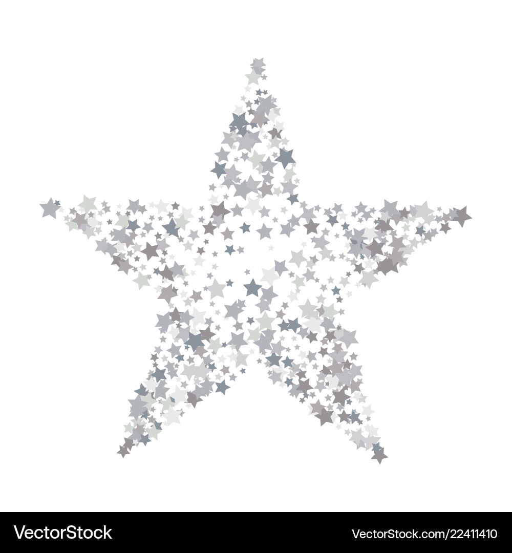 Silver star banner simple form template card vip Vector Image