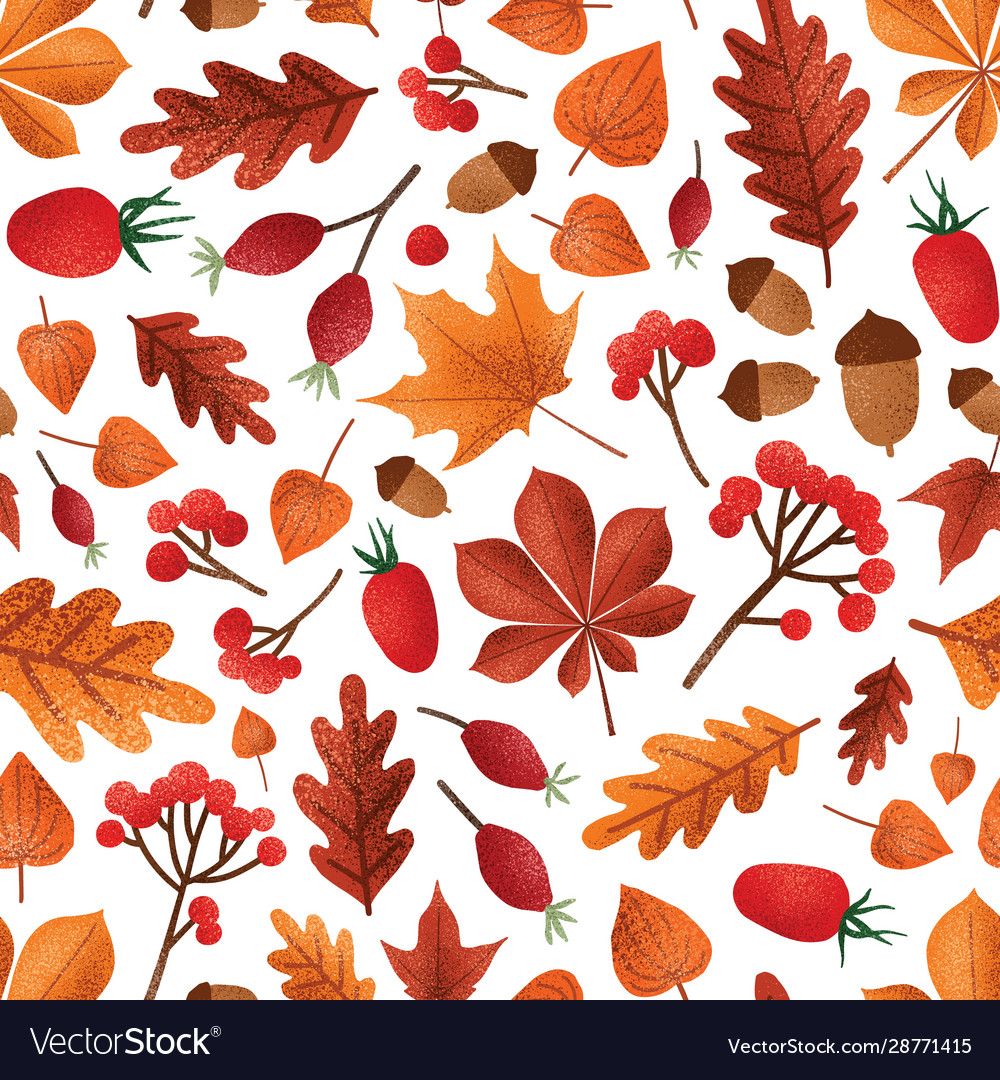 Autumn leaves and berries seamless pattern Vector Image