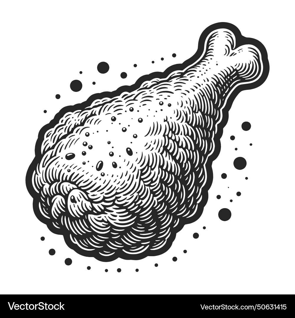 Fried chicken drumstick leg sketch Royalty Free Vector Image