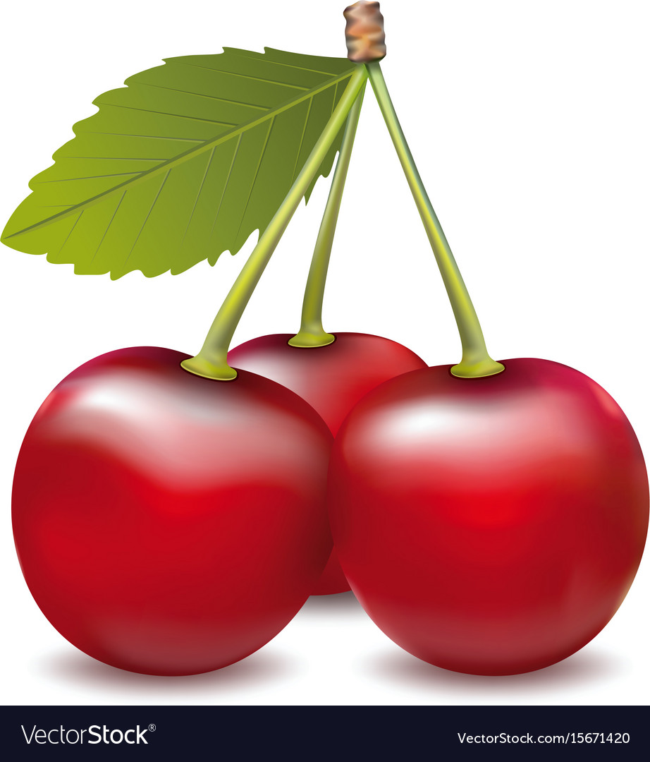 Ripe Red Cherry Berries With Leaves Royalty Free Vector