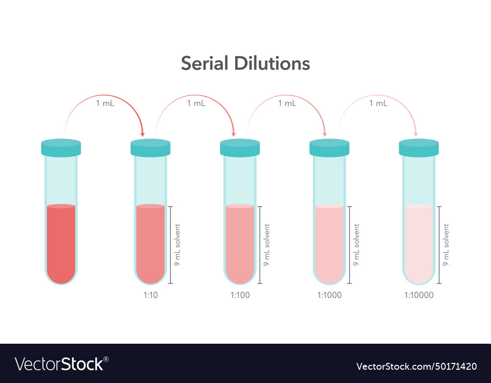 Serial dilutions Royalty Free Vector Image - VectorStock Serial dilutions Royalty Free Vector Image - VectorStock