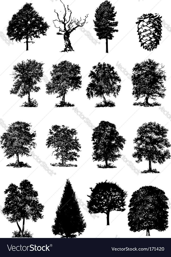 Trees Royalty Free Vector Image - VectorStock