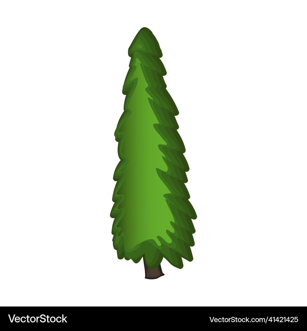 Realistic green spruce isolated on white Vector Image