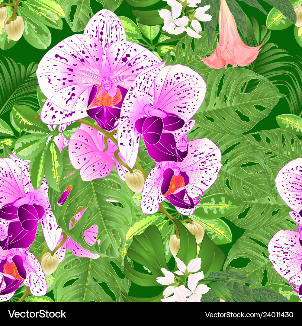 Seamless texture tropical flowers orchid Vector Image