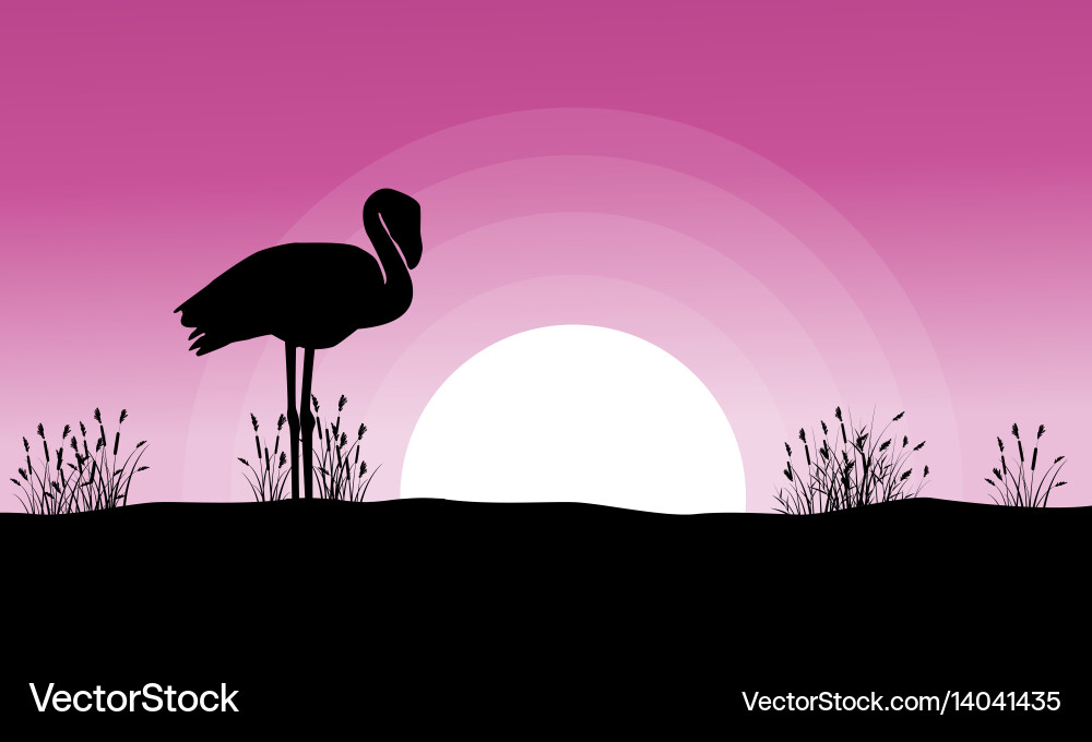 Flamingo at sunset landscape silhouettes Vector Image