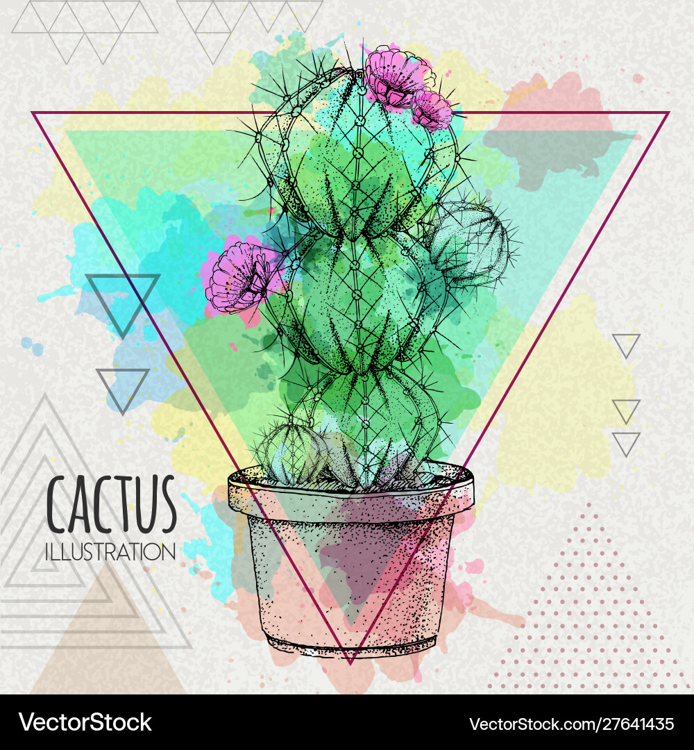 Hand drawing cactus on watercolor background Vector Image