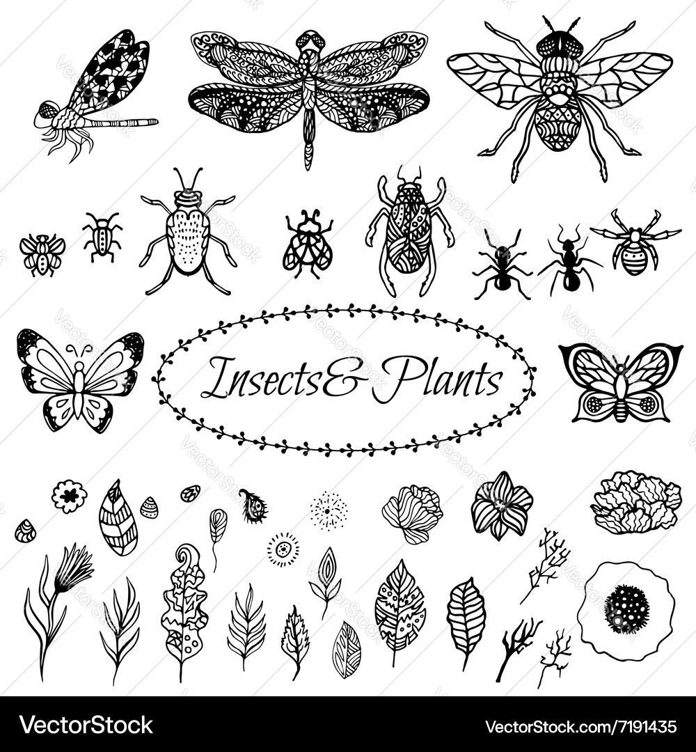 Hand drawn entangle black plant leaves Royalty Free Vector