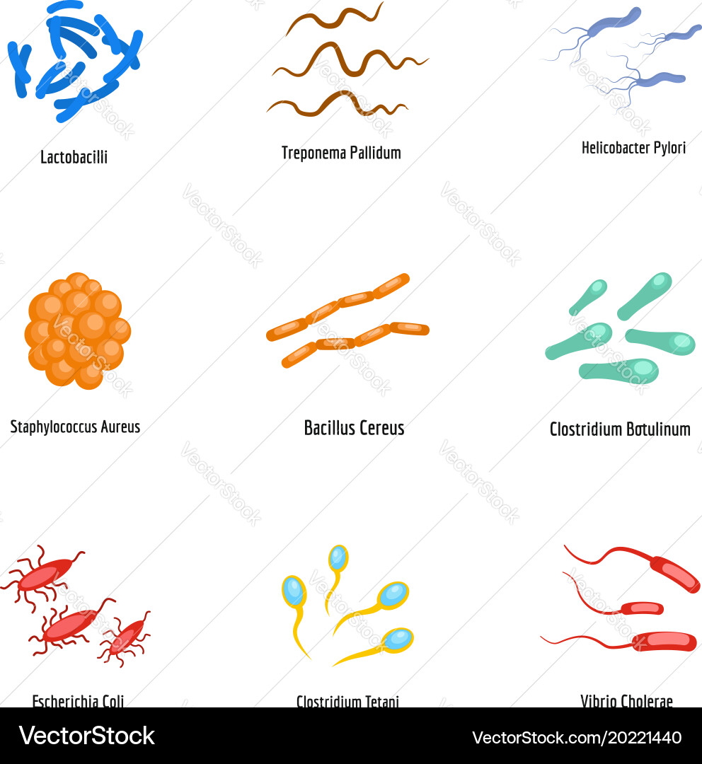 Organism icons set flat style Royalty Free Vector Image
