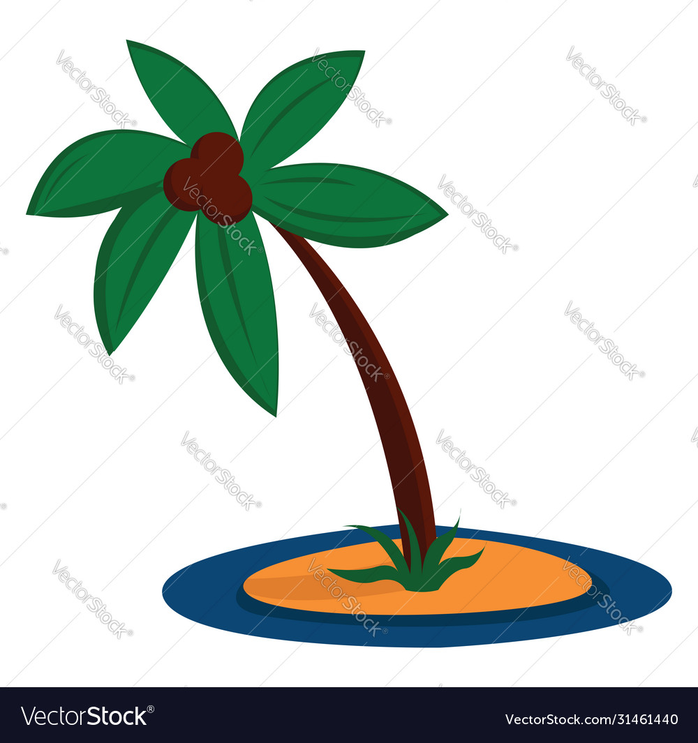 Palm tree on white background Royalty Free Vector Image