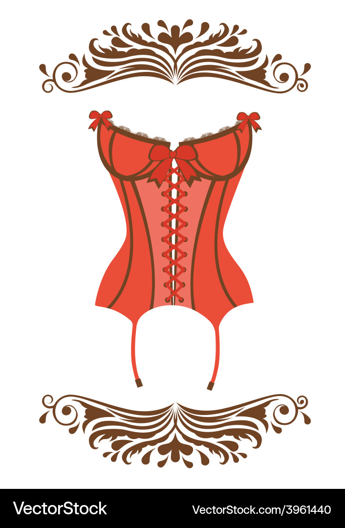Sexy retro style corset Royalty Free Vector Image
