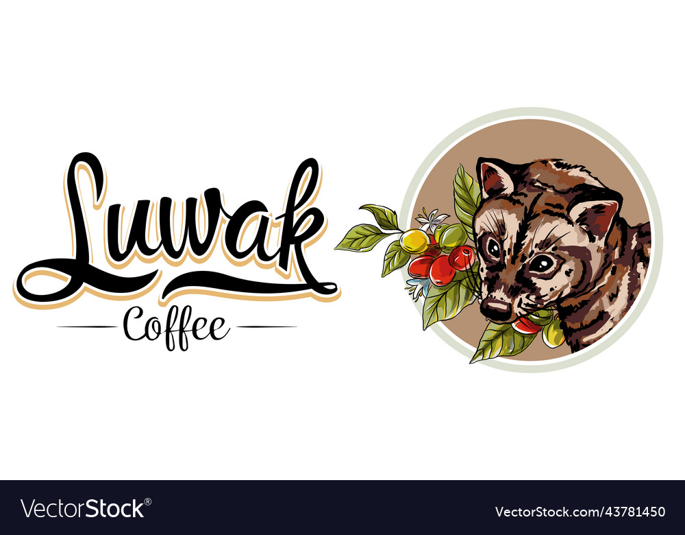 Luwak coffee good for symbol icon Royalty Free Vector Image