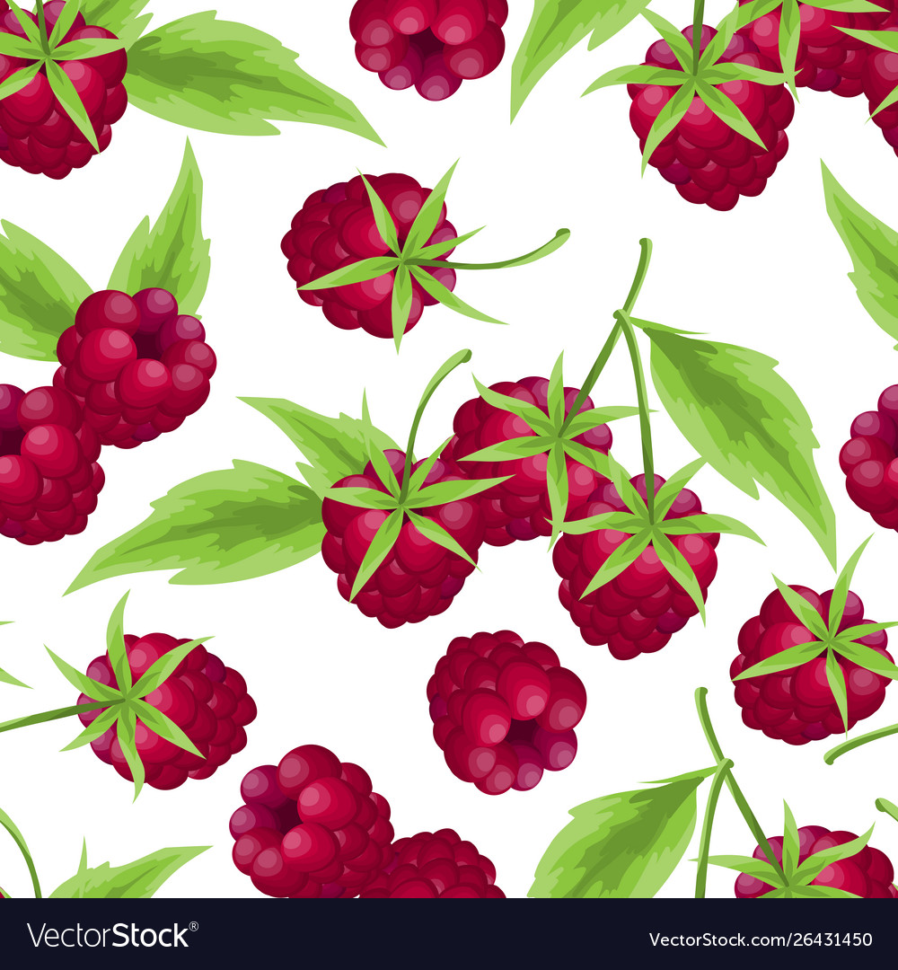 Raspberry seamless pattern Royalty Free Vector Image