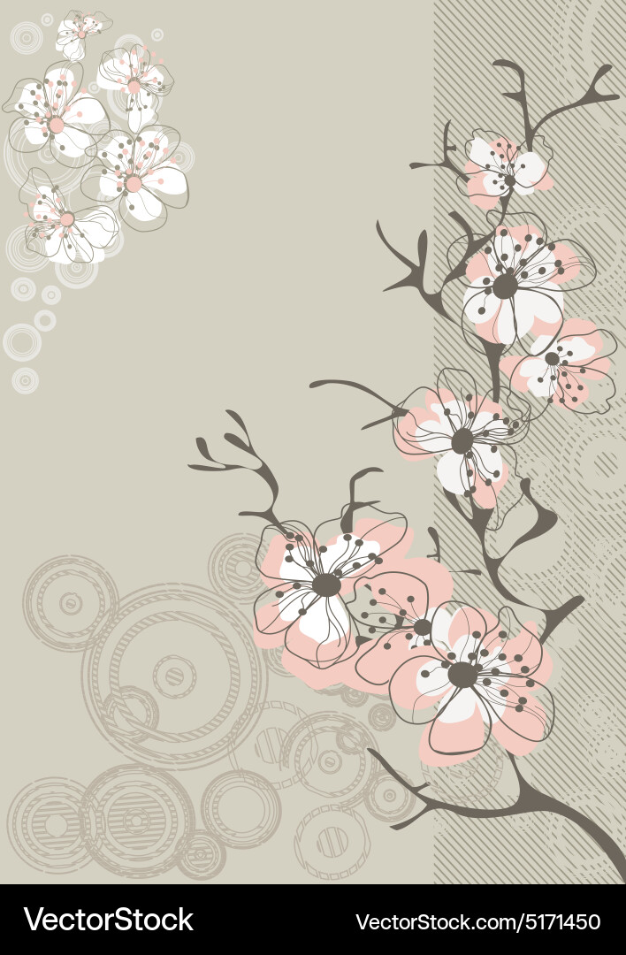 Sakura blossom on gray background Royalty Free Vector Image