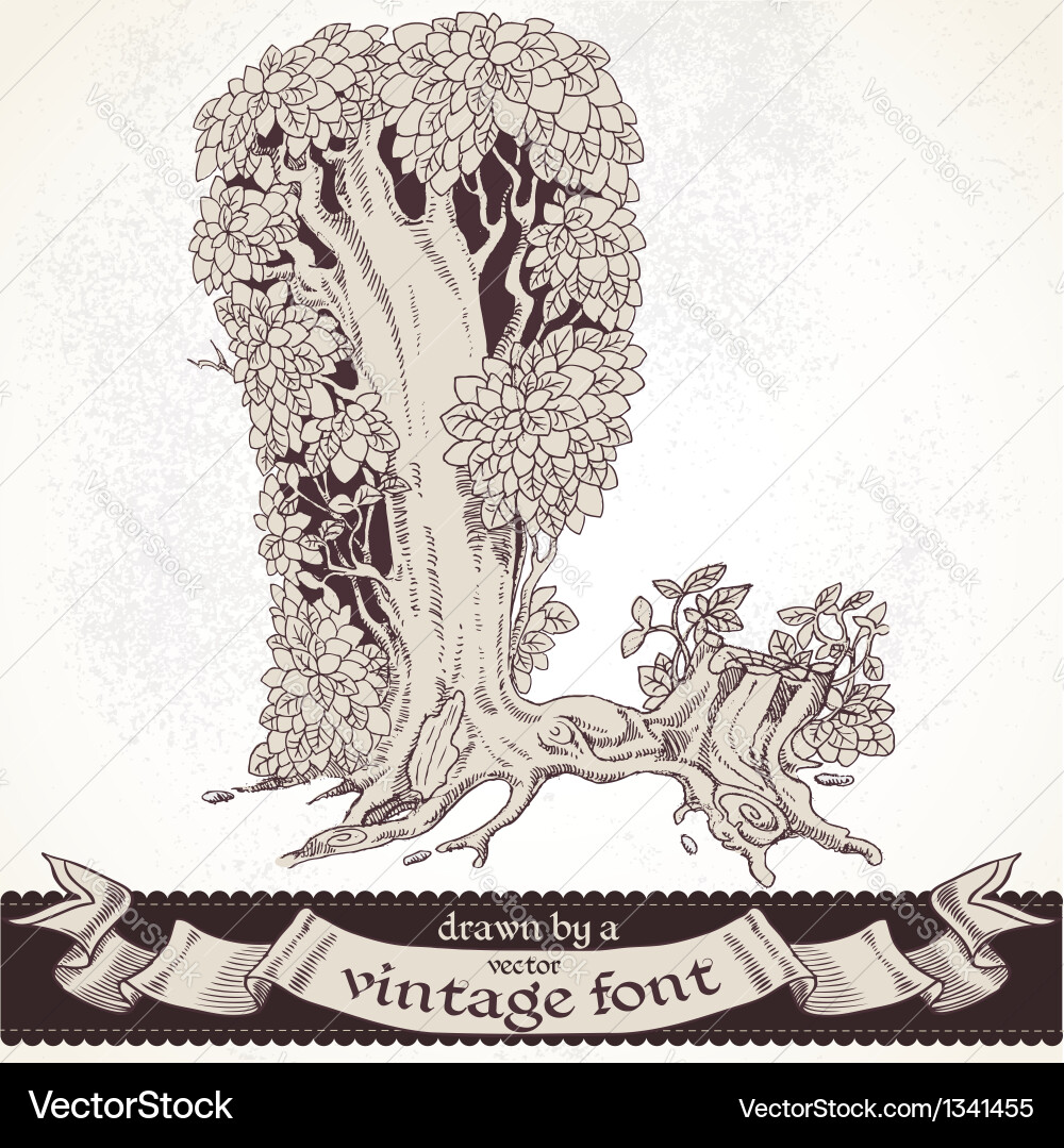 Fable forest hand drawn by a vintage font - l Vector Image