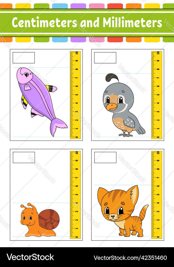Measuring length in centimeter and millimeter Vector Image