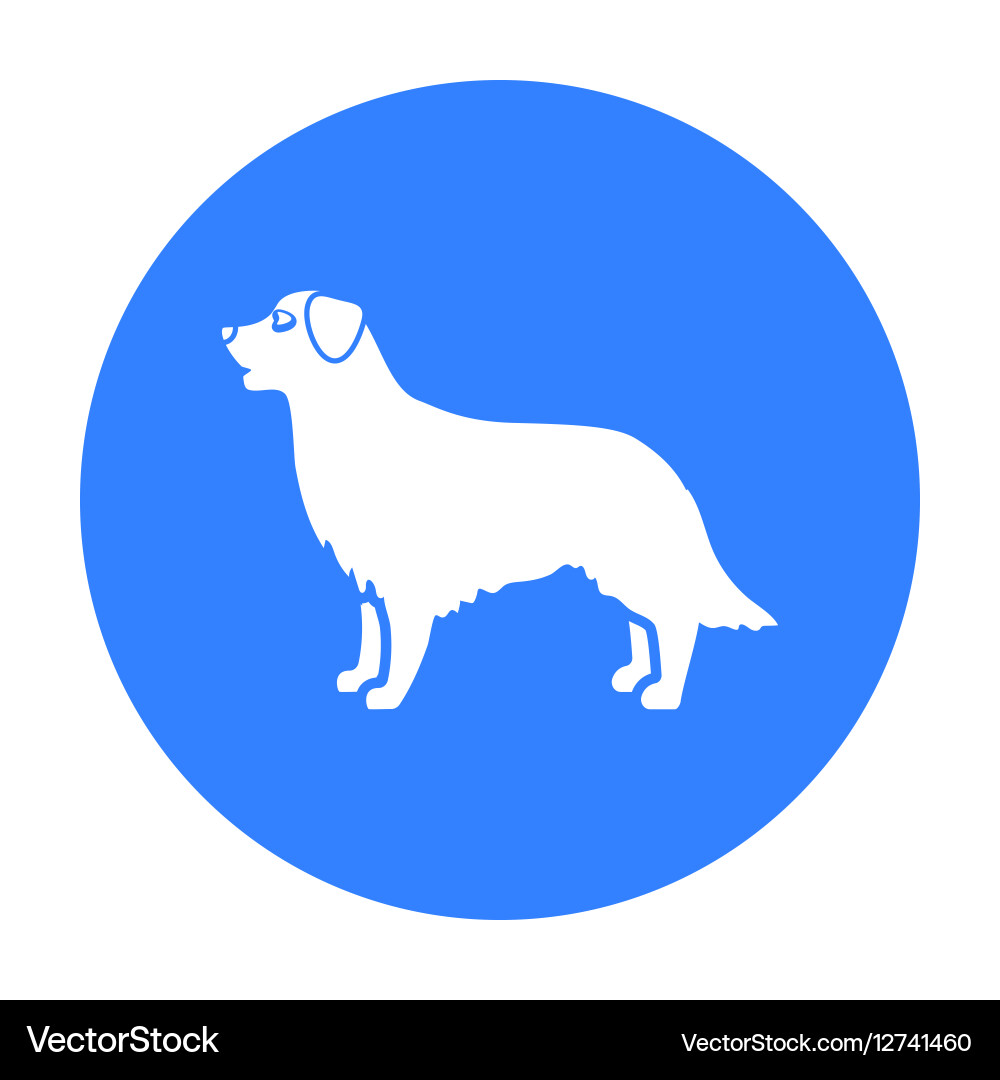 Retriever icon in black style for web Royalty Free Vector