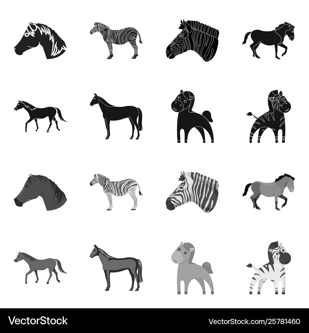 Trot and running symbol Royalty Free Vector Image