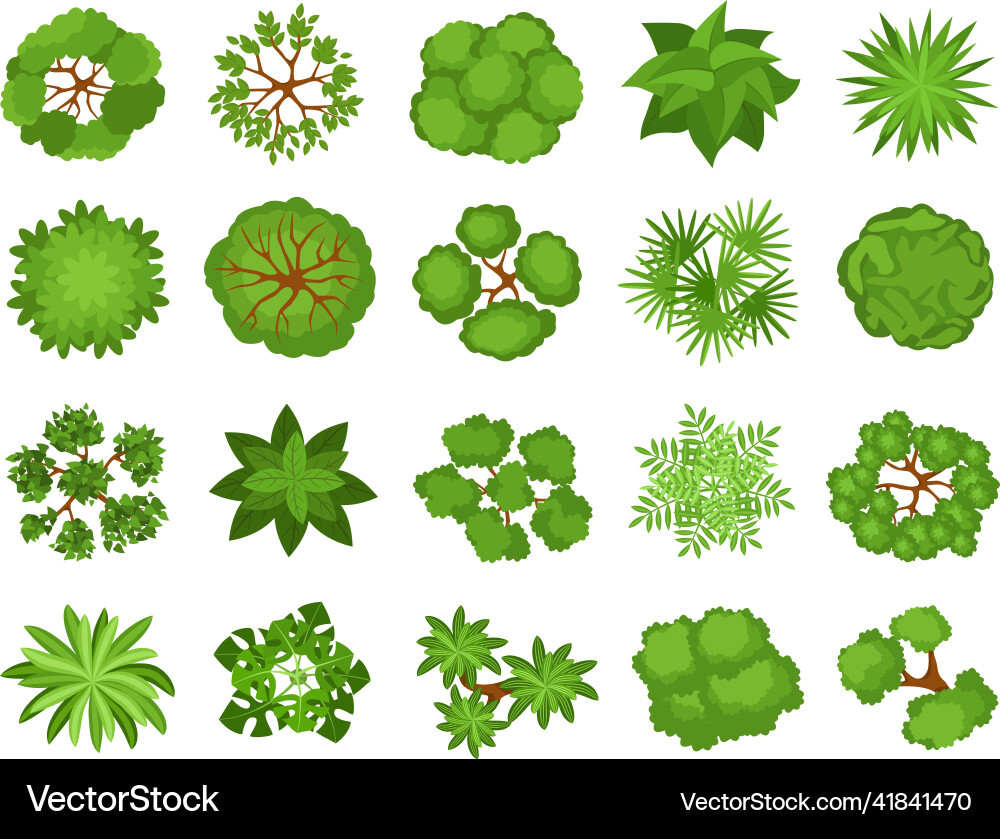 Cartoon top view trees plants bushes Royalty Free Vector