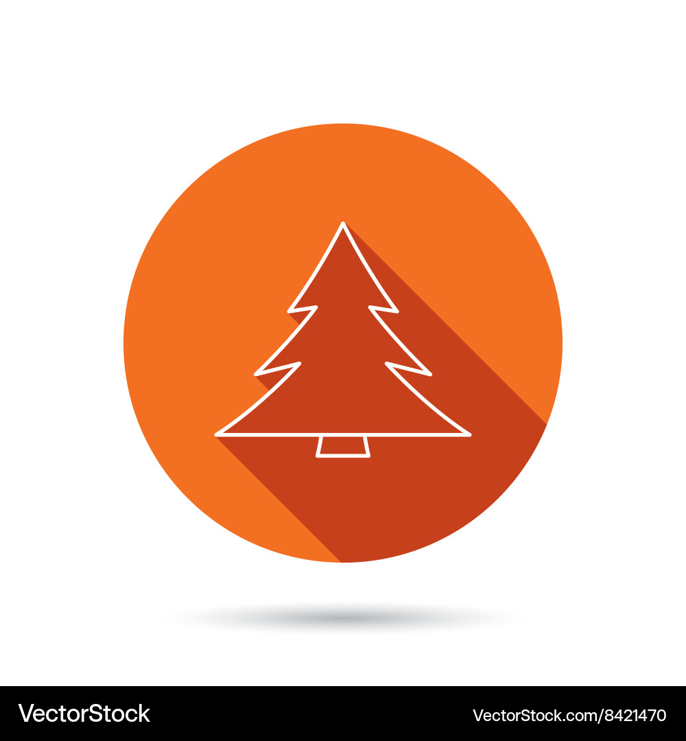 Christmas tree icon forest or nature sign Vector Image