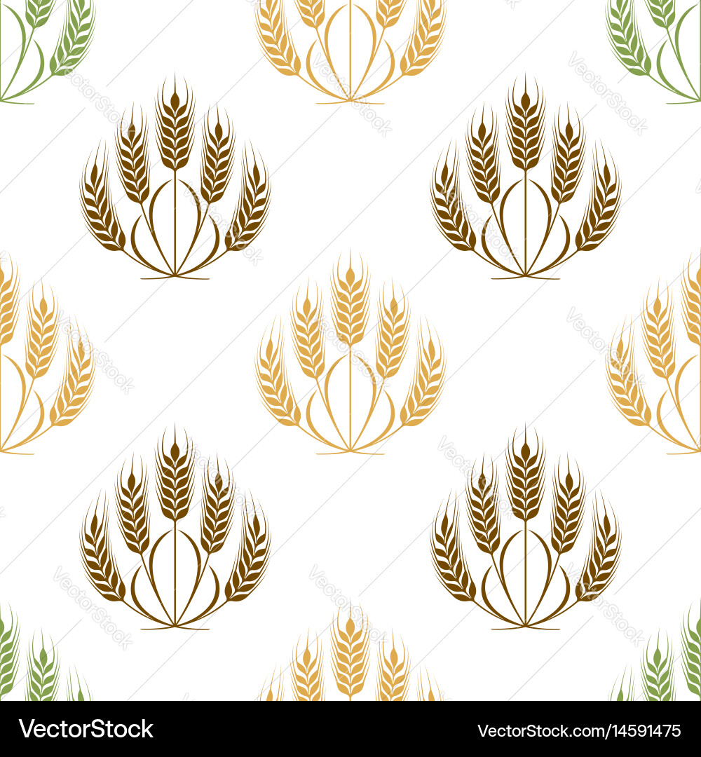 Ears of wheat and grains seamless pattern Vector Image