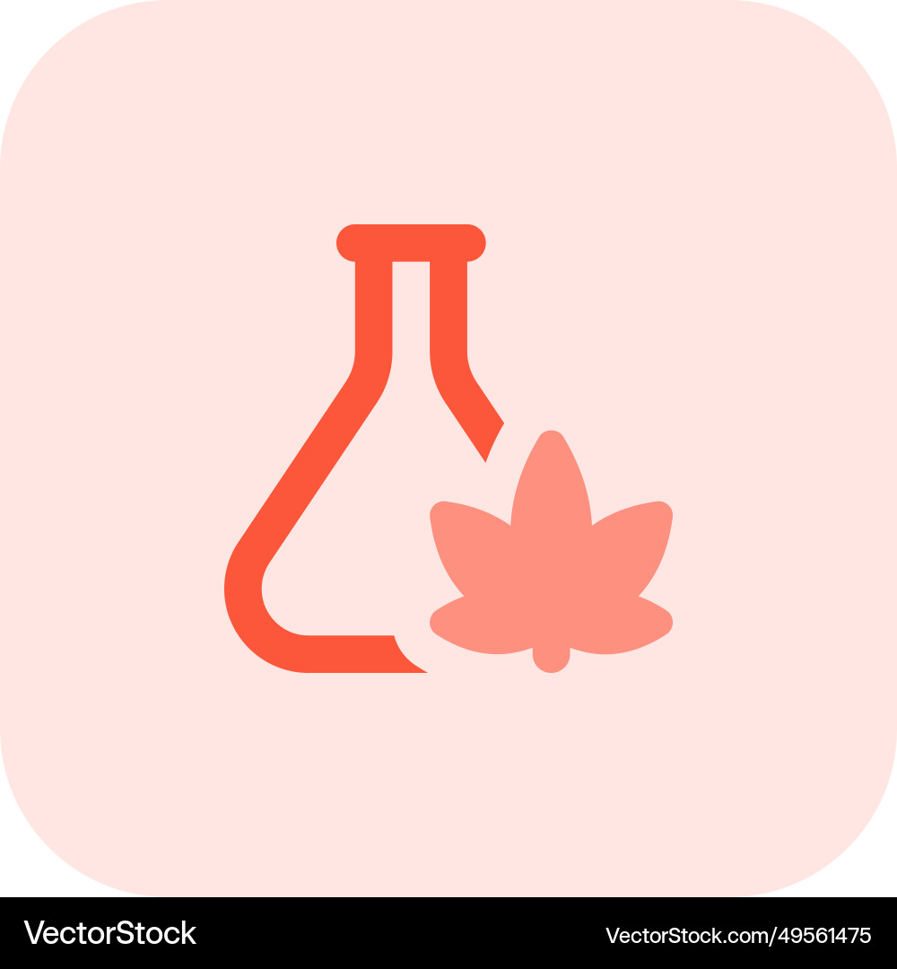 Flask and lab grown cannabis marijuana isolated Vector Image