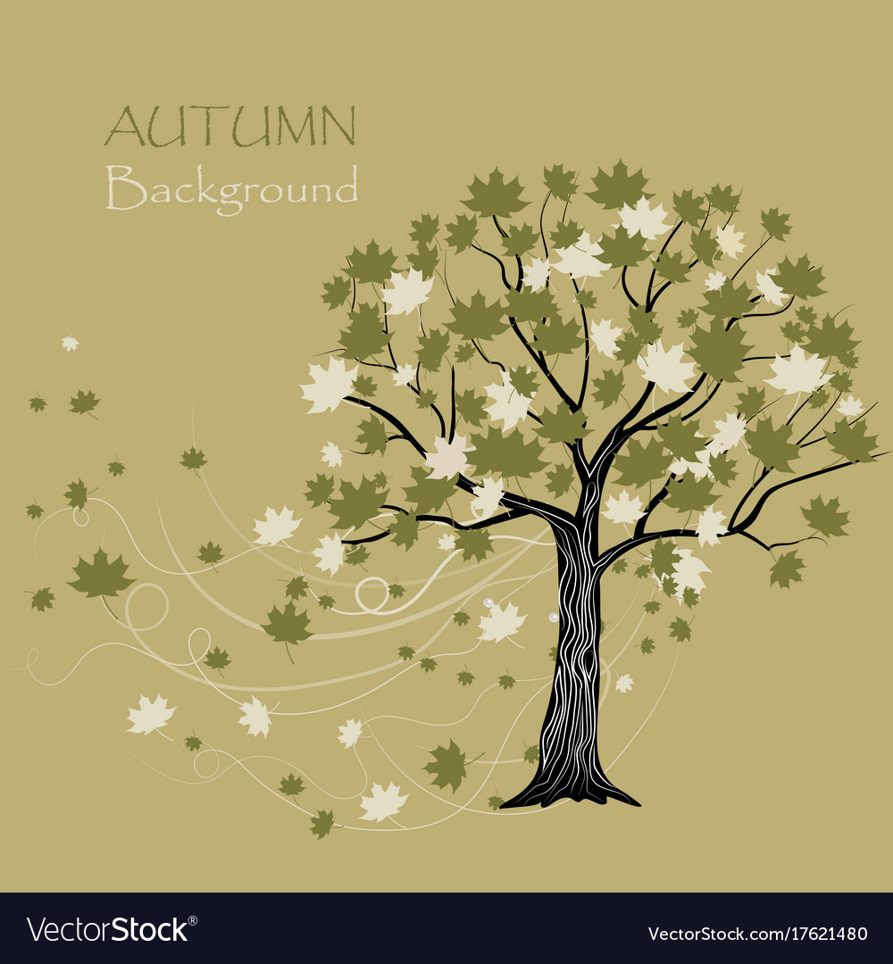 Beautiful maple tree Royalty Free Vector Image